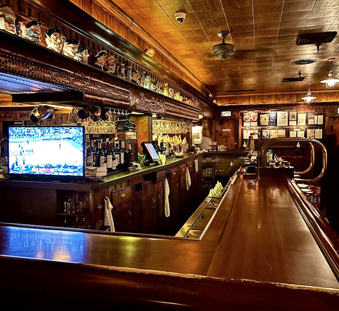 The bar stretches out like a mahogany runway where cocktails take flight and conversations flow like honey.