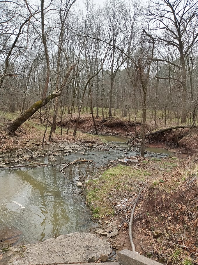 The creek beneath shifts personalities with the seasons&mdash;sometimes a gentle murmur, sometimes a rushing conversation after heavy rains.