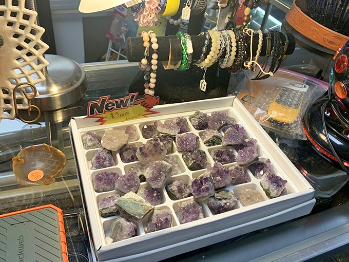 Nature's jewelry box spills open. These amethyst chunks offer both geological wonder and the promise of good vibes for just a few dollars each.