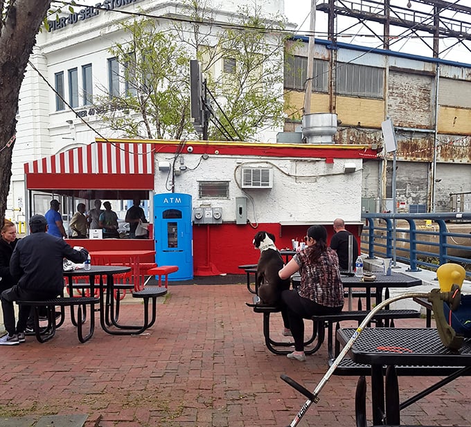 Lunchtime at Shank's is a community affair, where strangers become friends united by the universal language of exceptional sandwiches.