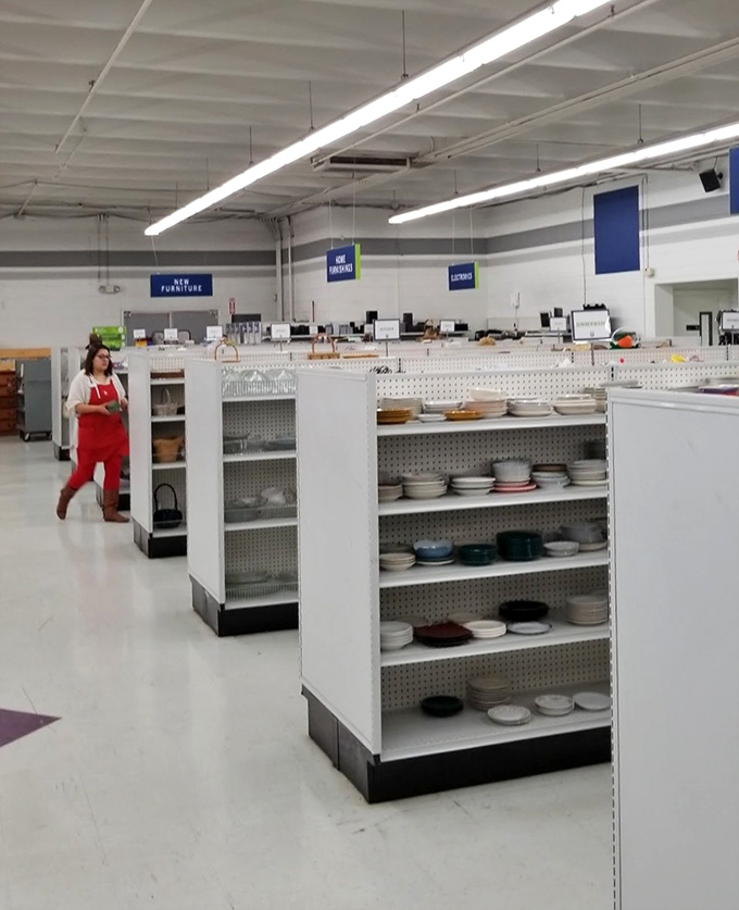 Plates and bowls stand at attention, ready to serve again. These ceramic veterans have survived countless dinners and are ready for more.