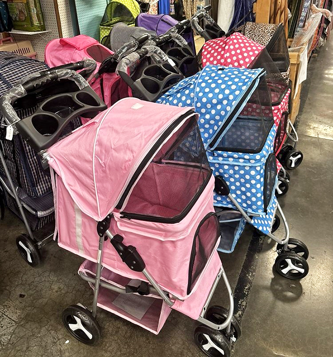 Pet strollers in every color—because in Tennessee, even your four-legged family members deserve to shop in comfort and style.