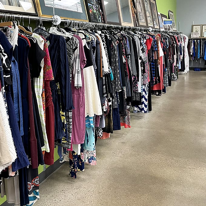 The dress section: a fabric time capsule spanning decades of fashion. From business casual to "I'm attending my ex's wedding" elegant.