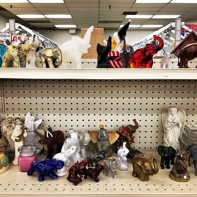 The elephant figurine convention, where ceramic pachyderms of all sizes gather to discuss trunk maintenance and dust collection techniques.