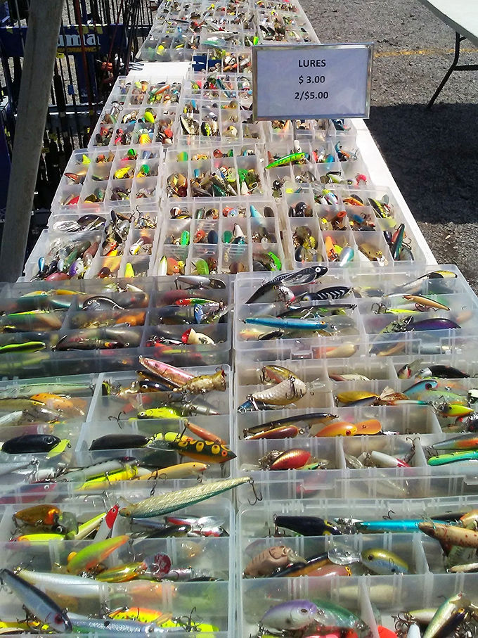 Angler's paradise spread across plastic compartments. Each lure tells a story of the one that got away—or the one you might catch next weekend.