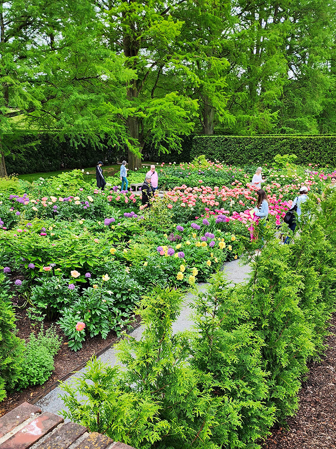 Visitors wander through a tapestry of peonies and perennials, their faces showing that childlike wonder that only extraordinary gardens can inspire.