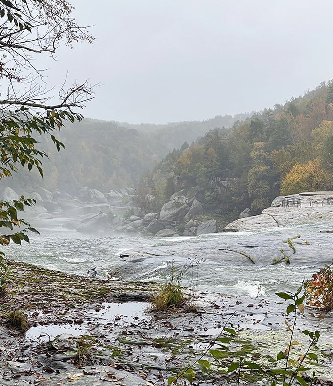 Moody weather transforms the landscape into something straight out of a fantasy novel&mdash;Tolkien would approve of this misty Kentucky morning.