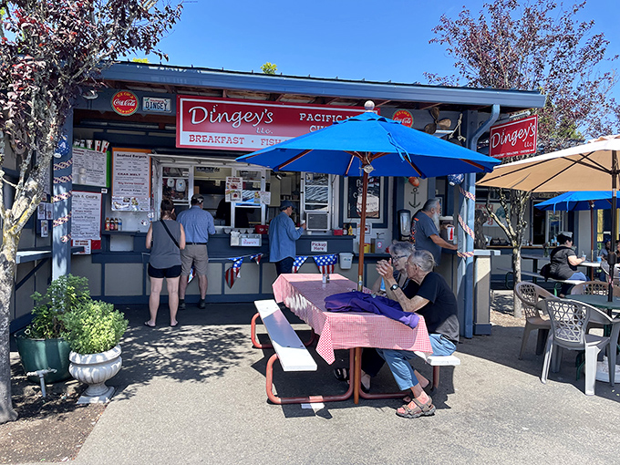 Dingey's serves up seafood with a side of sunshine. Those picnic tables have witnessed more delicious moments than most five-star restaurants.