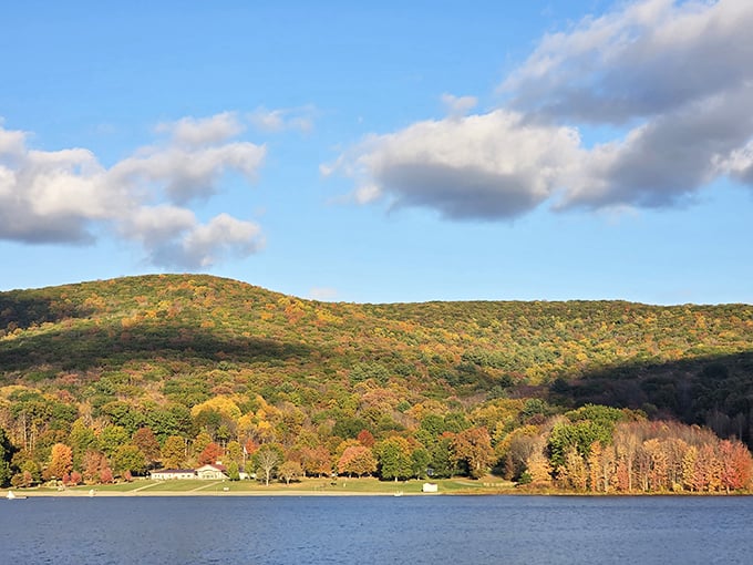 Hills wearing their autumn coats like they're headed to nature's most exclusive fashion week.