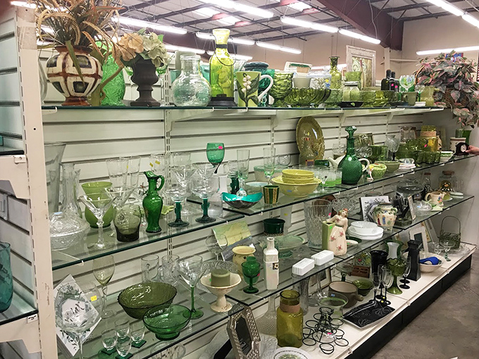 A stunning collection of green glassware creates an emerald showcase. From Depression glass to modern pieces, these treasures await new dining tables.