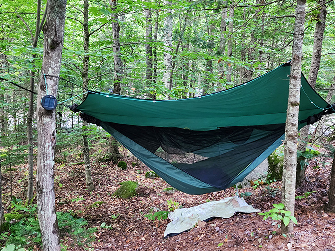 The ultimate forest hammock setup. Suspended between birch trees, this is where afternoon naps achieve legendary status.
