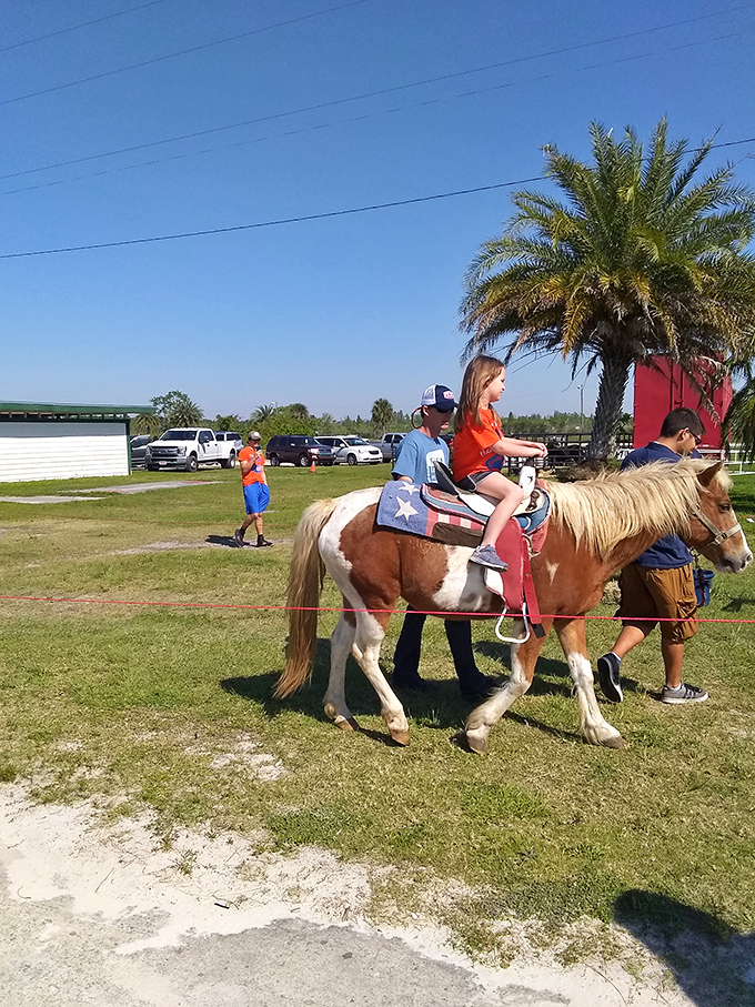 Giddy-up and smile! Pony rides under palm trees offer a quintessential Florida childhood memory in the making.