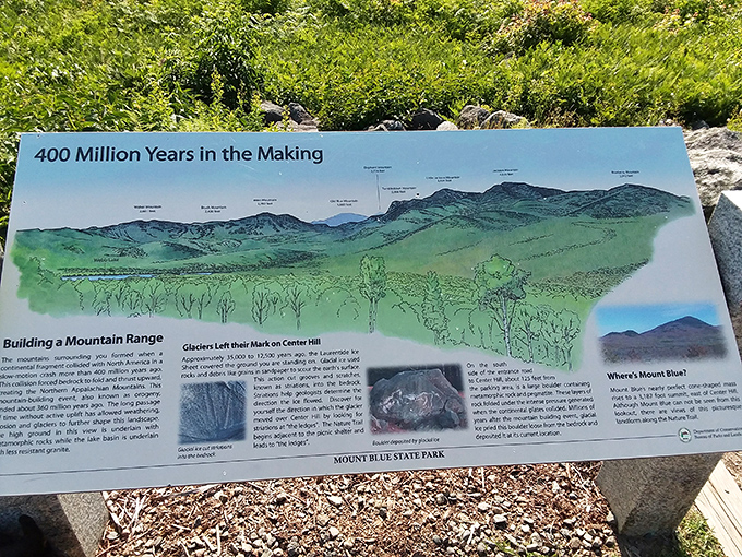 400 Million Years in the Making&mdash;a timeline that makes your weekend wait for coffee seem considerably less dramatic.