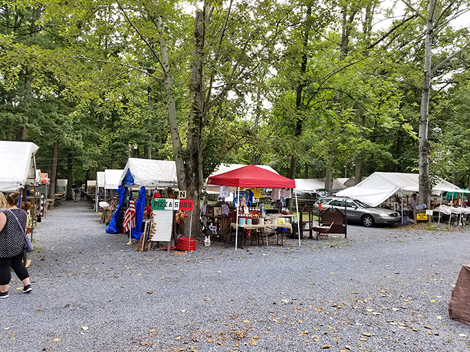 Weekend warriors of the antiquing world set up camp along tree-lined paths, flags marking territories of vintage domains.