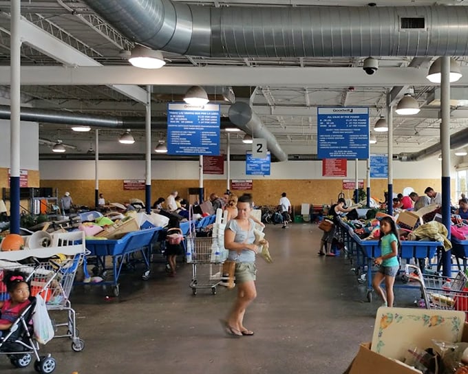 The wide-angle view reveals the true scale of this operation – a warehouse where treasures and trinkets coexist in democratic chaos.