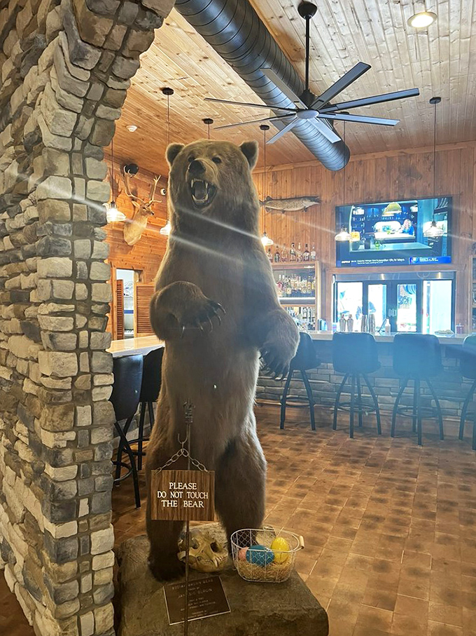 Another angle of the magnificent bear &ndash; standing tall amid stone and wood, silently judging your menu choices with the wisdom of the wilderness.