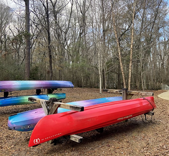 Colorful kayaks waiting for their next adventure, like exotic birds perched at the edge of discovery.