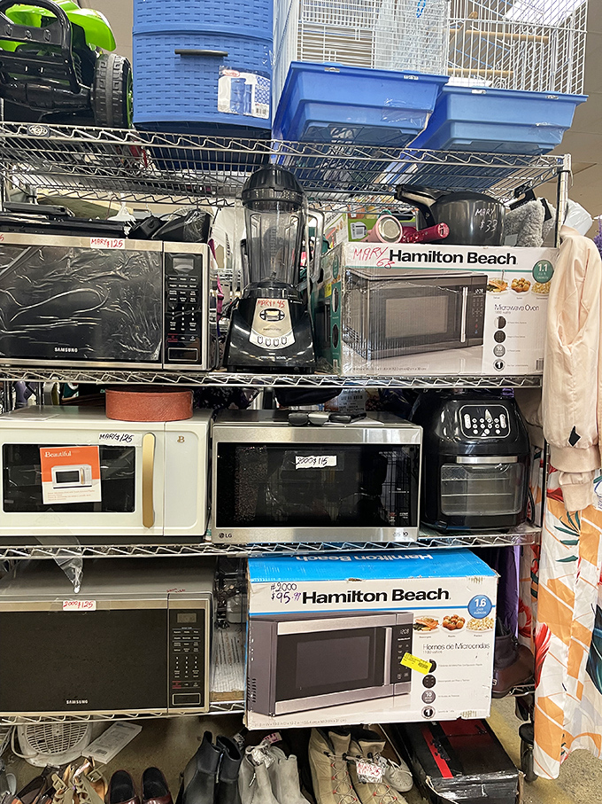 Kitchen appliance heaven! From microwaves to blenders, these countertop companions are ready for their second act in your culinary productions.