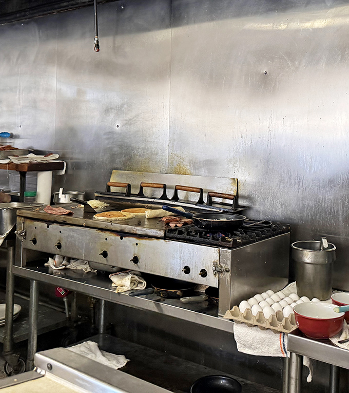 The beating heart of breakfast magic: a well-seasoned griddle where pancakes achieve that perfect golden hue and eggs find their destiny.