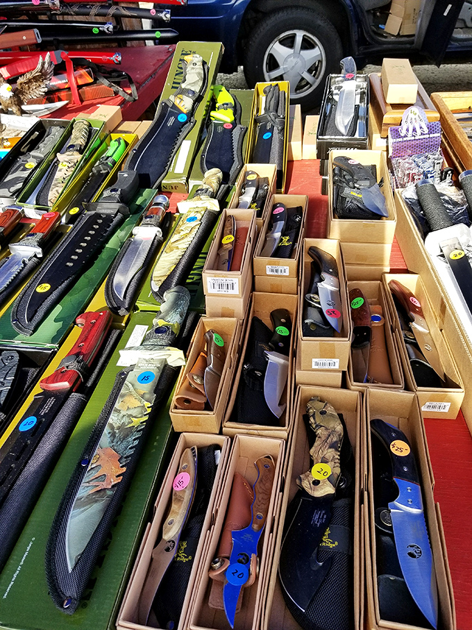 Blade runner's paradise! For collectors and practical shoppers alike, these knives represent both utility and artistry, each waiting for the right hands.