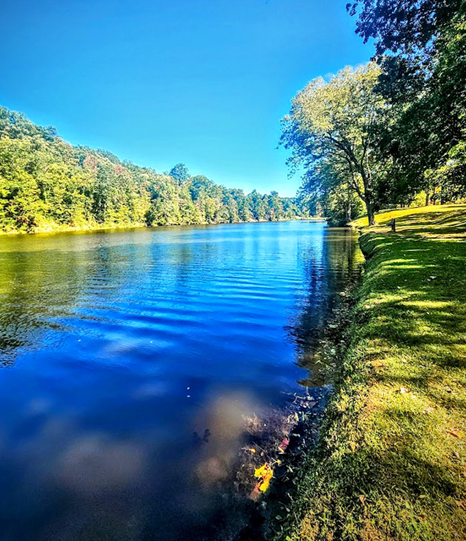 Turkey Creek Lake's crystal waters mirror the sky so perfectly you might forget which way is up.
