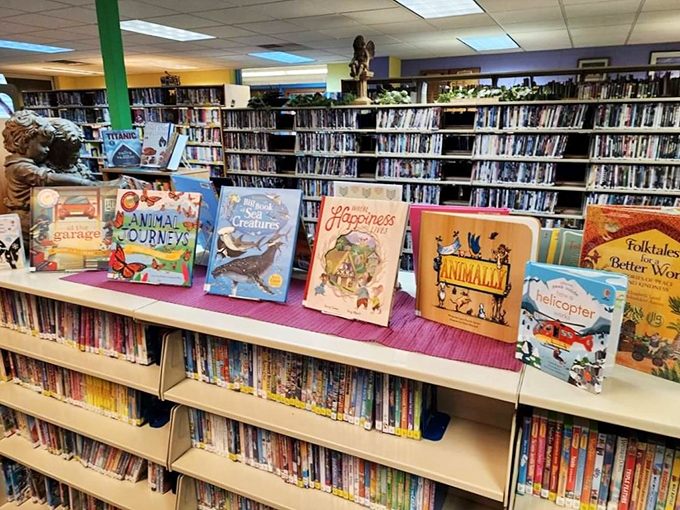 The local library's children's section proves some adventures still begin with turning pages rather than swiping screens—a refreshing sight in our digital age.