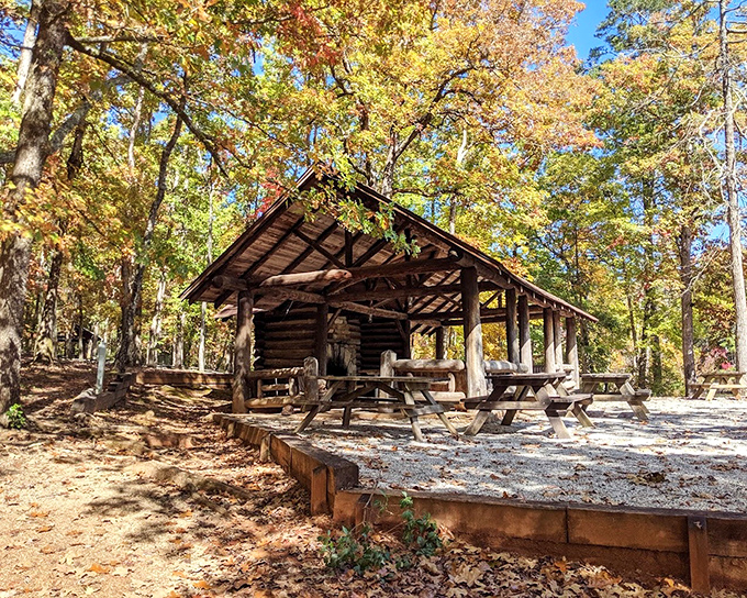 This open-air shelter has hosted countless family gatherings and impromptu picnics. Rustic architecture that predates the "tiny house" trend.