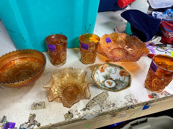 Amber carnival glass catches light like liquid sunshine, turning ordinary shelves into showcases of yesterday's entertaining elegance.