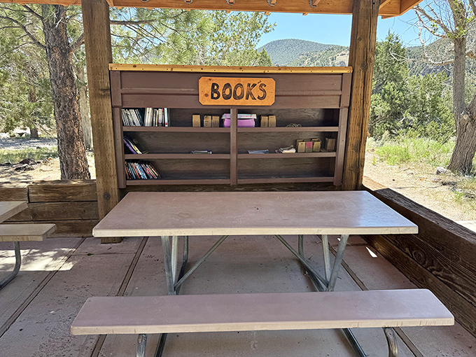The most scenic reading room: This rustic book exchange proves that the best library views aren't in university towns but in Nevada's backcountry.