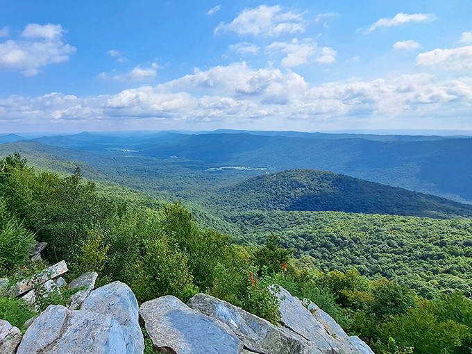Blue skies and endless ridges&mdash;this is the Pennsylvania view that makes tourists question their geography assumptions.