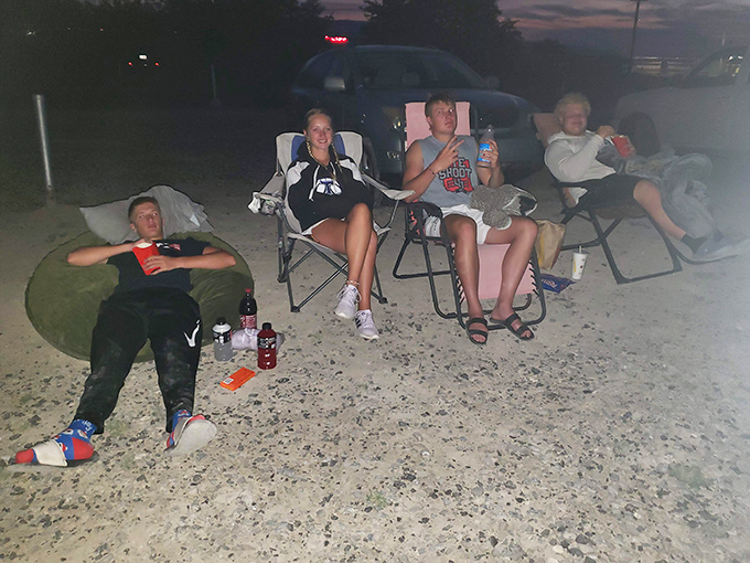 The youth of America, discovering that watching movies under stars beats watching them under ceiling fans any day of the week.