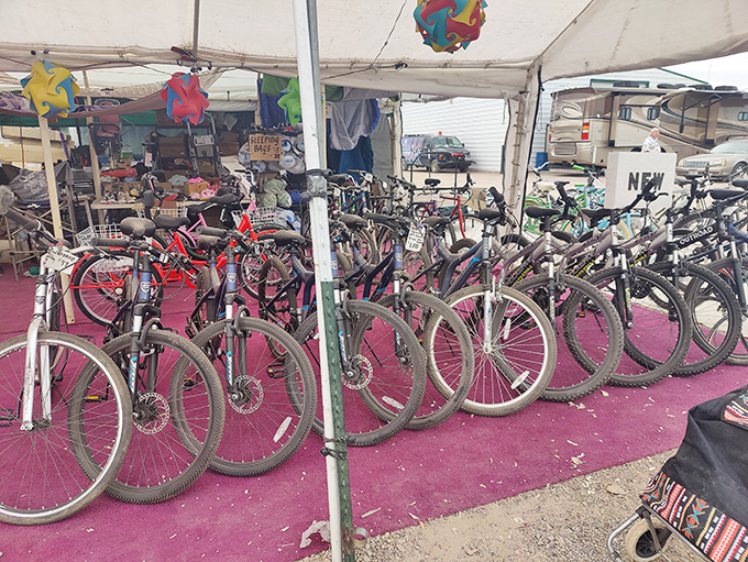 Mountain bikes ready for adventure, because walking through this massive market is for amateurs.
