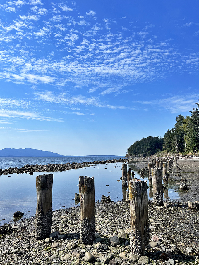 Weathered pilings stand sentinel at the shoreline, remnants of history now serving as perfect perches for contemplating the horizon.