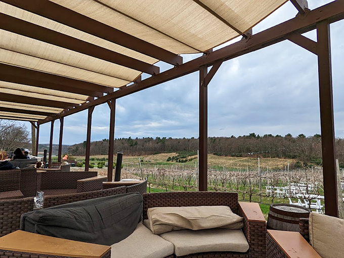 Cushioned comfort meets vineyard vistas under this pergola—the perfect spot to while away an afternoon with friends and a bottle of something special.