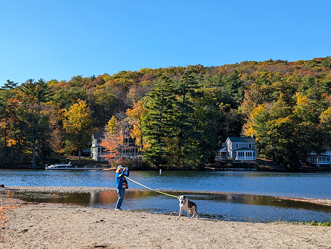 A perfect autumn beach stroll with four-legged companionship. Some conversations are best had while walking shorelines with loyal friends who never interrupt.