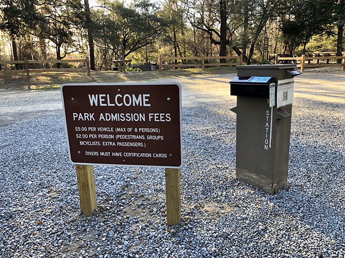 Even the entrance fee sign looks inviting &ndash; and at $5 per vehicle, it's possibly the best entertainment value in the Sunshine State.
