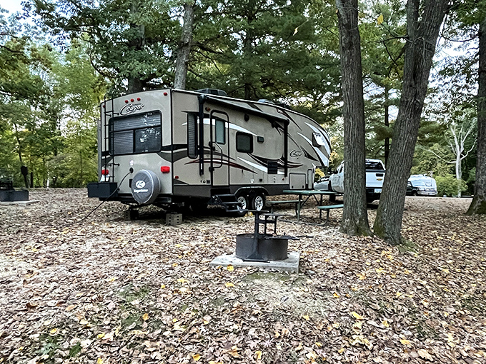 Camping with all the comforts of home, plus the soundtrack of rustling leaves and distant owls instead of neighbor's lawnmowers.