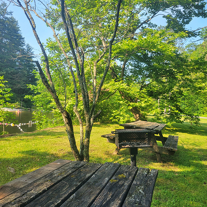 Streamside picnic tables offer front-row seats to nature's show&mdash;no reservation required, just bring your appetite and unwind completely.