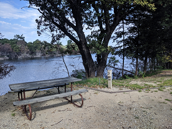 This picnic spot offers million-dollar views without the price tag. Sometimes the best restaurant is simply a table with nature's panorama.