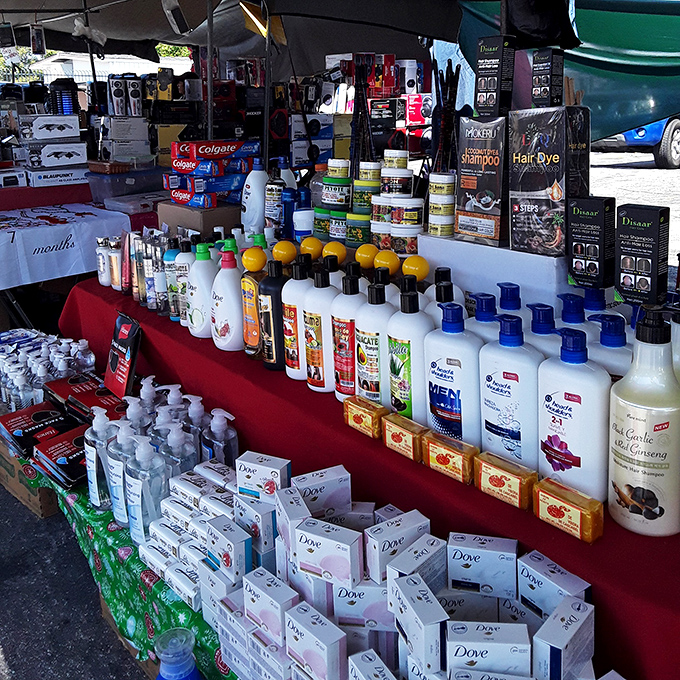 Bottles of lotions and soaps arranged with the precision of someone who takes their bargain beauty seriously.