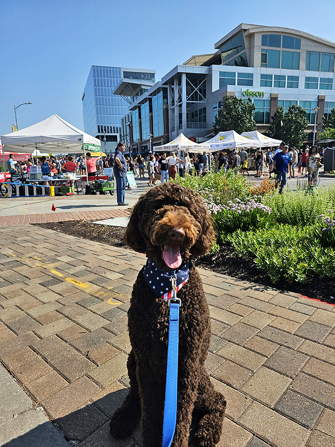 Even four-legged market-goers sport patriotic bandanas, proving farmers markets are truly for every member of the family.
