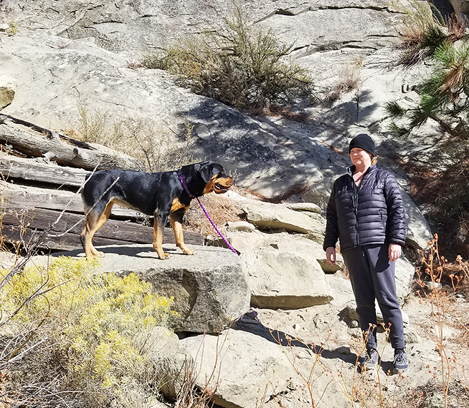 Four-legged hiking companions welcome! This pup seems to be thinking, "I was promised squirrels, but these rocks are pretty cool too." 