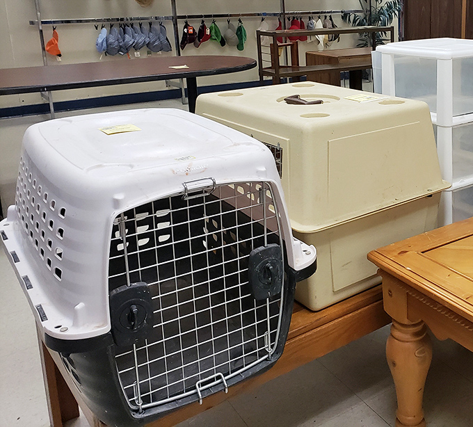 Even Fido gets a second chance! Pet carriers await new adventures while proving that thrift stores truly offer something for every family member.