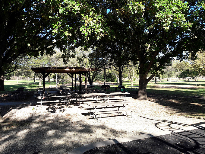 Picnic tables nestled under shade trees &ndash; nature's dining room where the ambiance always gets five stars.