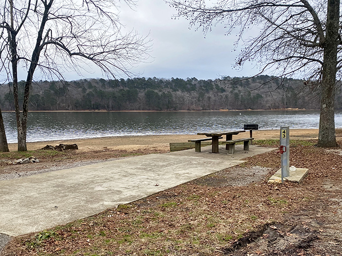 Picnic tables with million-dollar views. The best seasoning for any meal is this panoramic lake vista.