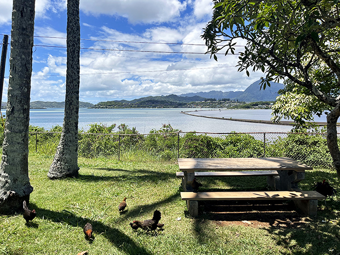 Your new favorite office space features unlimited ocean views and a strict no-laptop policy for maximum relaxation.