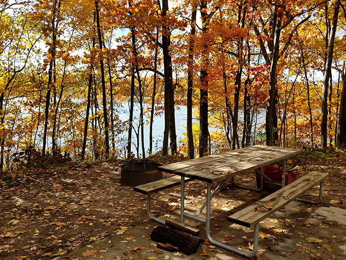 This picnic spot overlooking autumn-kissed waters proves that sometimes the best dining views don't require reservations or dress codes.
