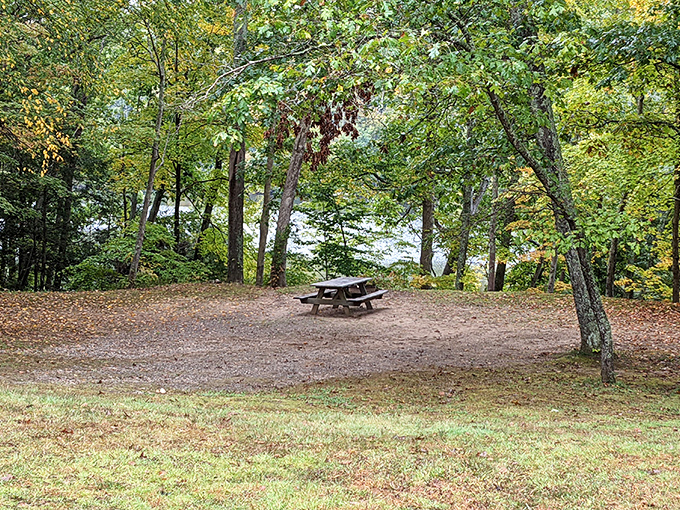 A picnic table with a million-dollar view &ndash; better than any restaurant's "outdoor seating" could ever be.