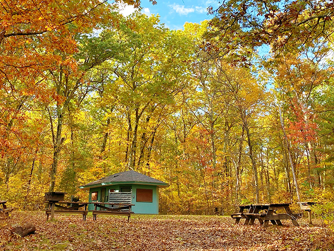 Fall's golden hour transforms ordinary picnic spots into enchanted dining rooms. Reservations not required, but timing is everything.