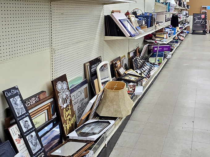 A gallery of empty frames waits patiently for your memories, from ornate Victorian borders to sleek modern rectangles.